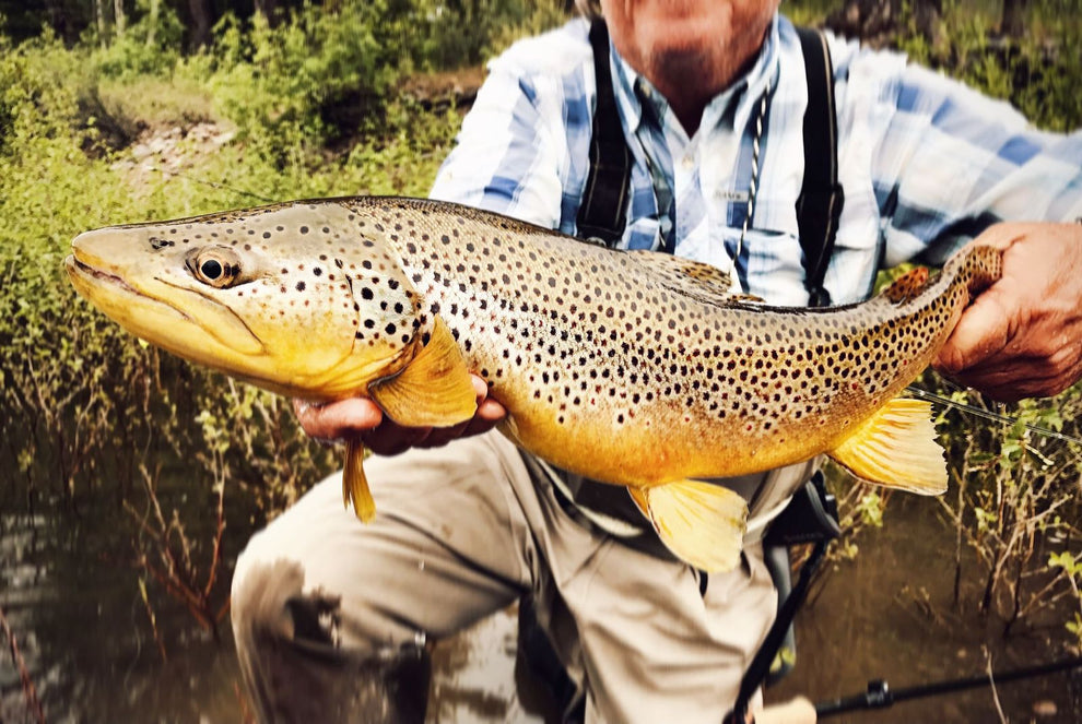 Guided Fly Fishing Trip – Gilligan's Guide Service